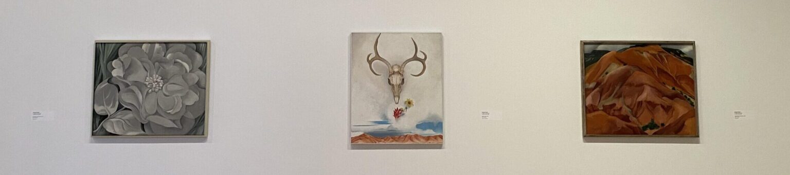 Deserts & Flowers: Georgia O'Keeffe's Motifs Explained